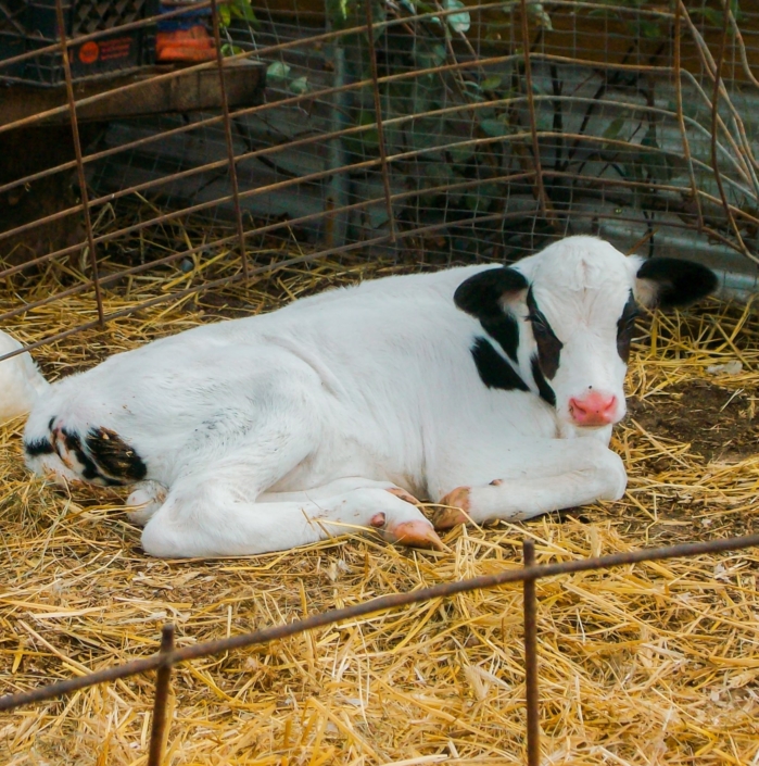 GenMate – Empresa de soluções baseadas em inteligência artificial ...